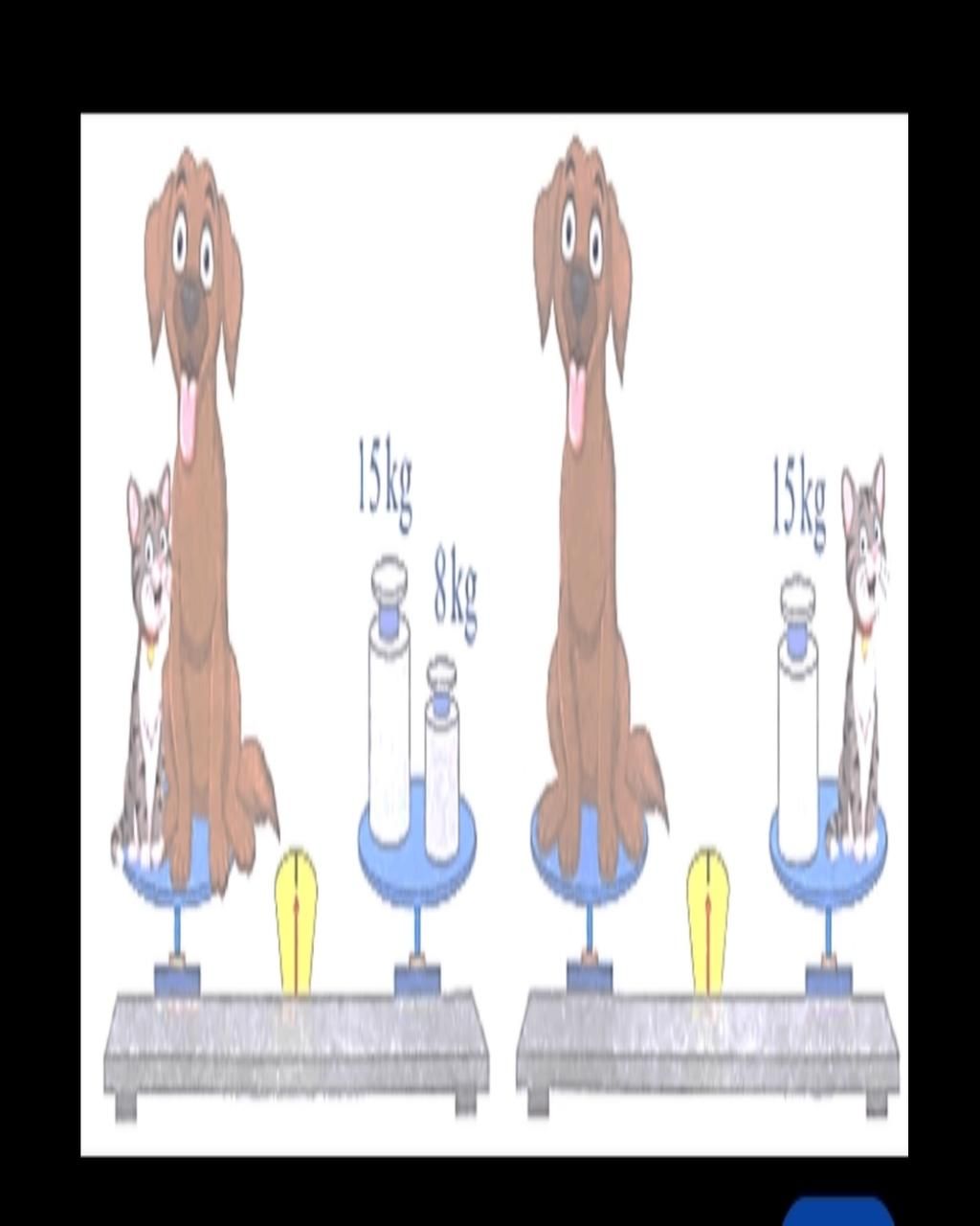 Bài1: cân nằng của con mèo ( như bức tranh dưới đây ) là A 7kg B 4kg C 19kg D 5kg Bài2: đặt tính ...