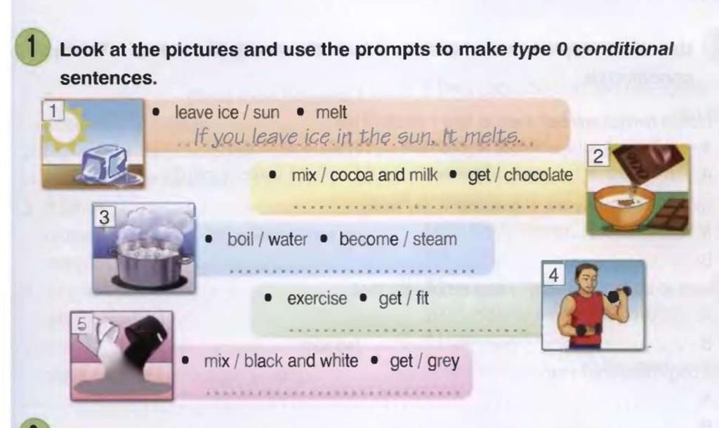 1 Look at the pictures and use the prompts to make type 0 conditional ...