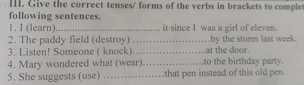 III. Give the correct tenses/ forms of the verbs in brackets to complet ...