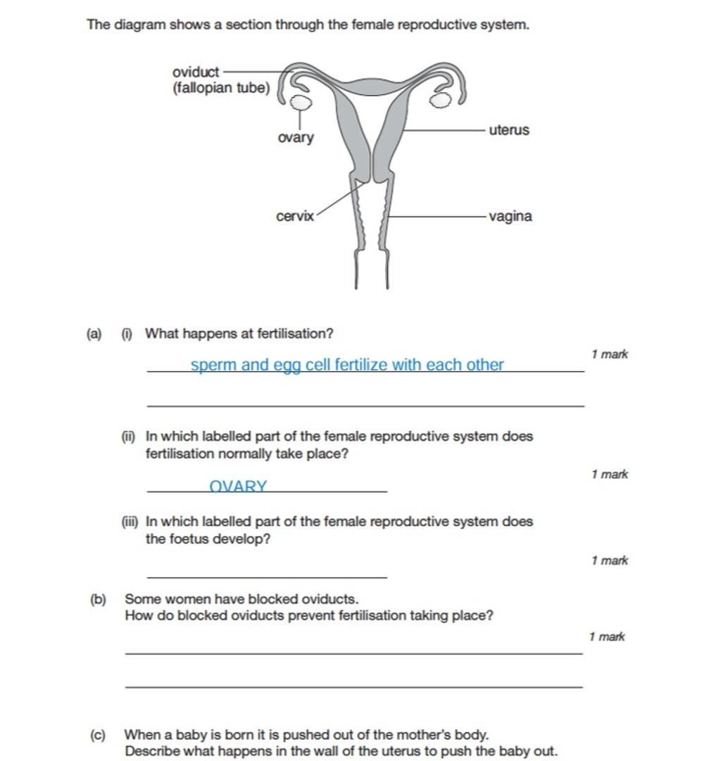 Giúp e với mn ơii (đề science IGCSE ạ, lên lớp 8 chuyển hệ, giờ e phải ...