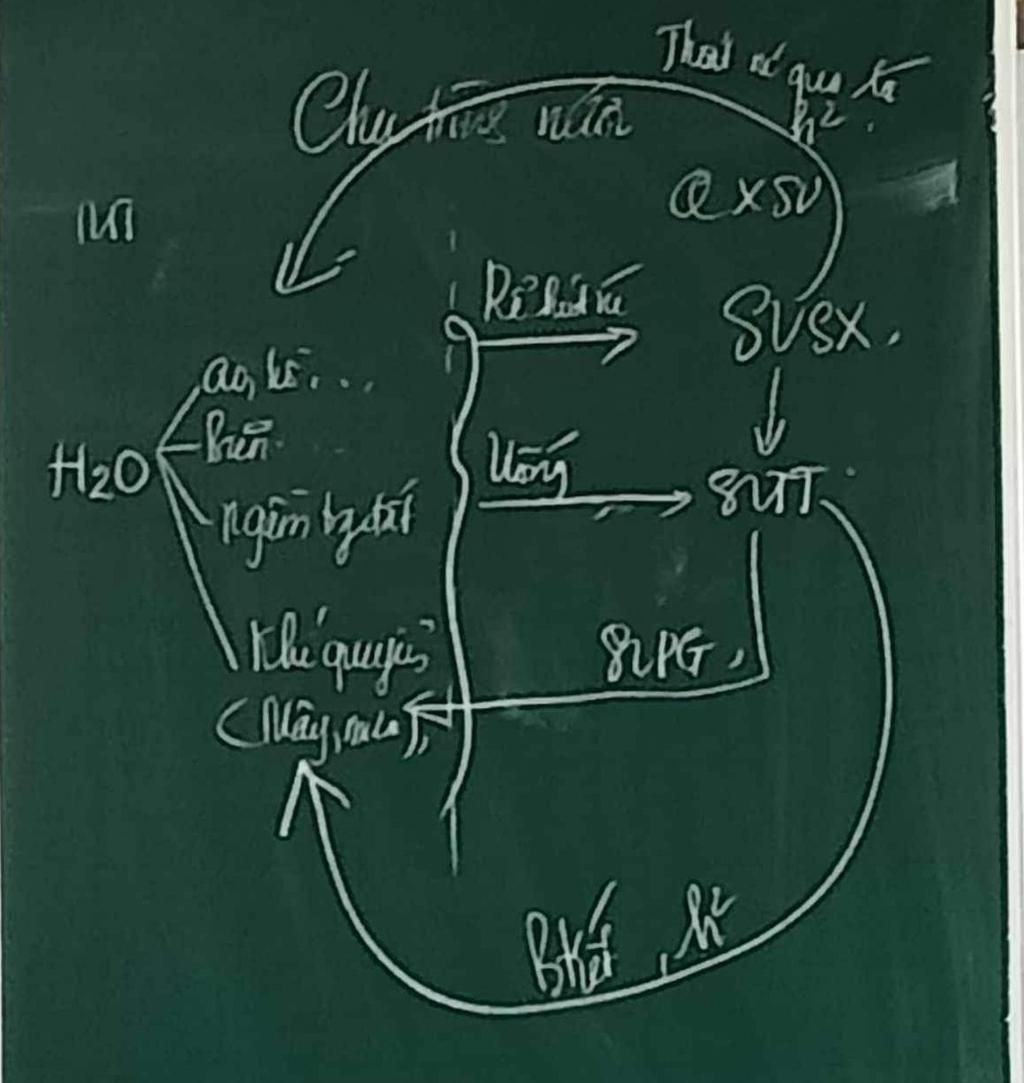 Ai giúp mình vẽ sơ đồ chu trình cacbon vs nitơ được không ạ vẽ giống chu trình nước được không ạ ...