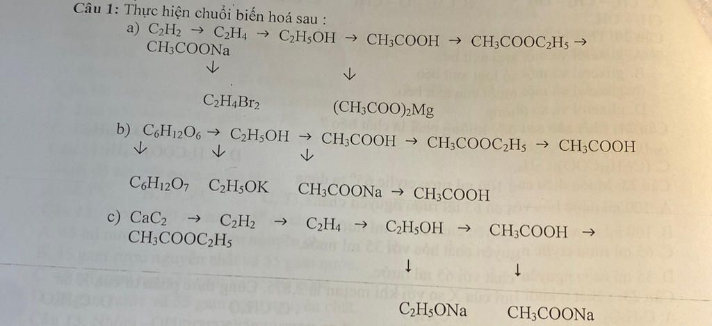Câu 1: Thực hiện chuỗi biến hoá sau : a) C2H2 →C2H4 →C2H5OH → CH3COOH → ...