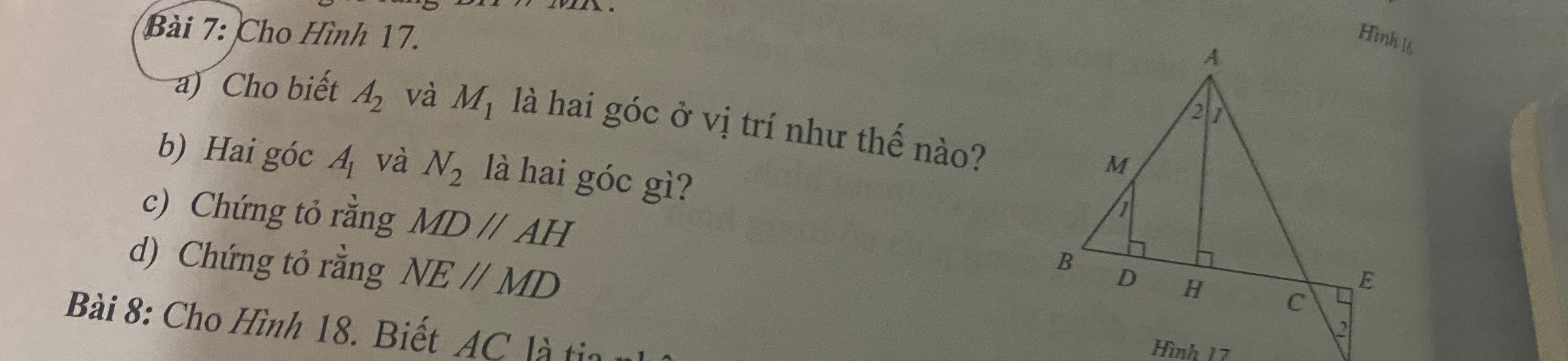 Bài 7: Cho Hình 17. Cho Hình 17. a) Cho biết A, và M, là hai góc ở vị ...