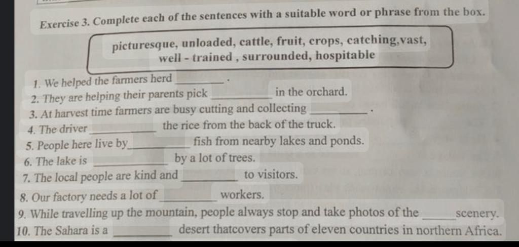 Exercise 3. Complete each of the sentences with a suitable word or ...