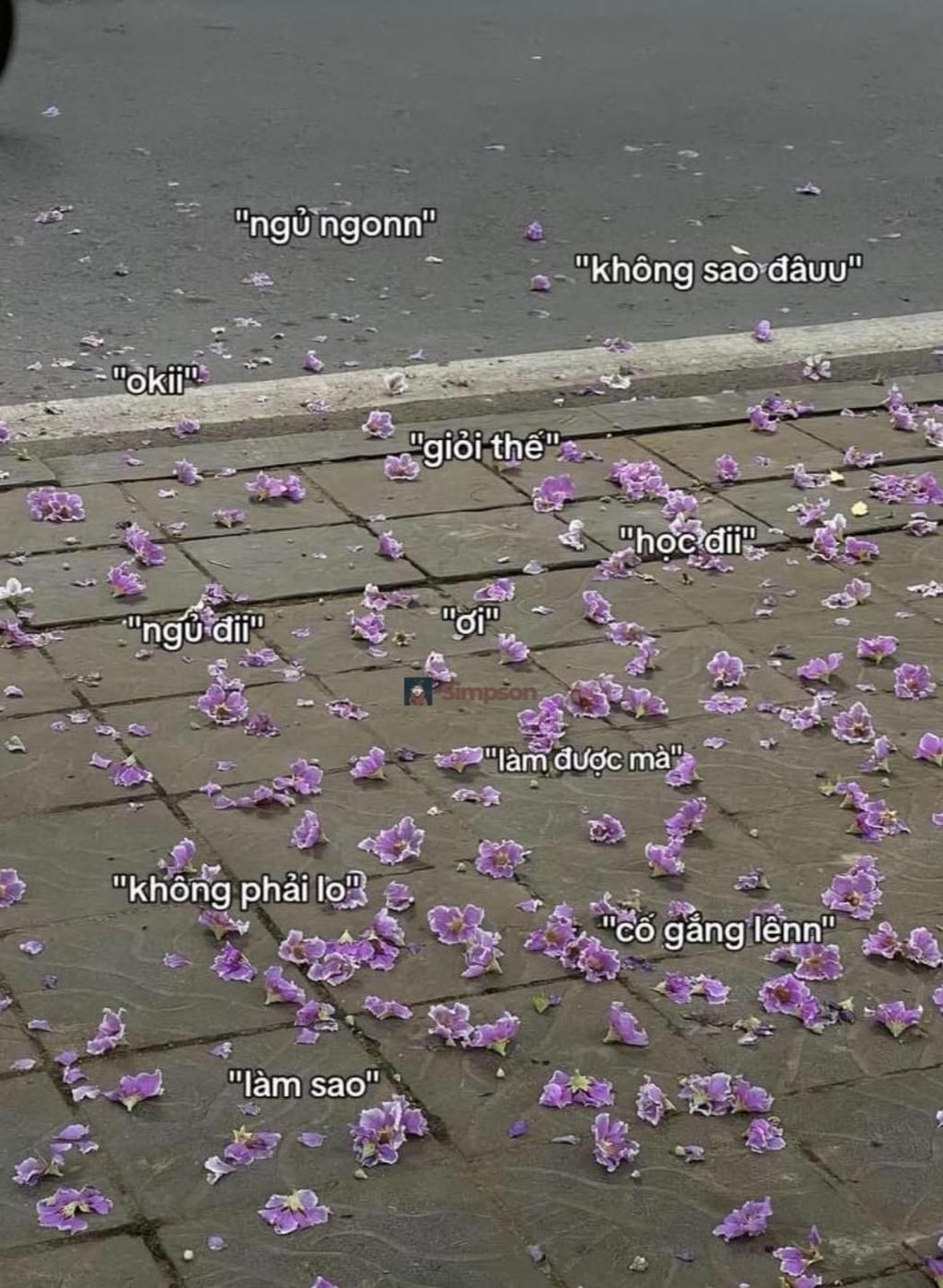 "ngu ngonn" "okij "giỏi thế" "ngu dii" "không phải lo "làm sao" Hoi ...