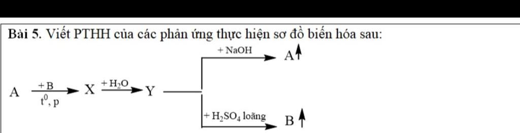 Bài 5. Viết PTHH của các phản ứng thực hiện sơ đồ biến hóa sau: + NaOH ...