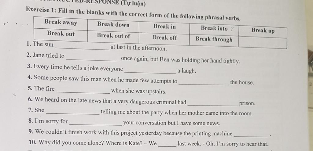 (Tự luận) Exercise 1: Fill in the blanks with the correct form of the following phrasal verbs ...