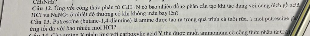 CH3NH2? Câu 12. Ứng với công thức phân tử C4HuN có bao nhiêu đồng phân ...