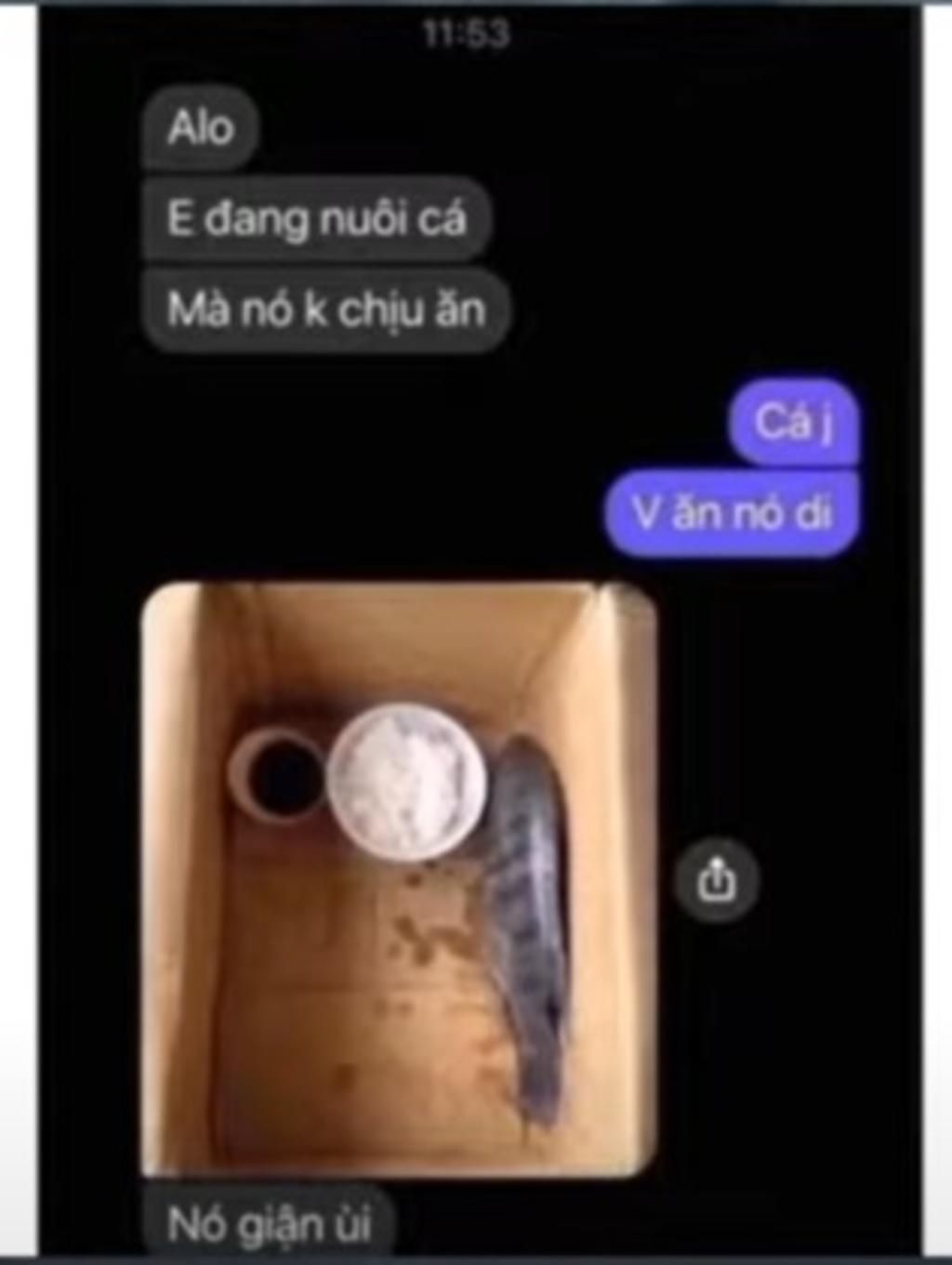 Calli: fish N/l: bạn cá giận rồi :*> ( dưới c.hỏi)Alo 11:53 E đang nuôi ...