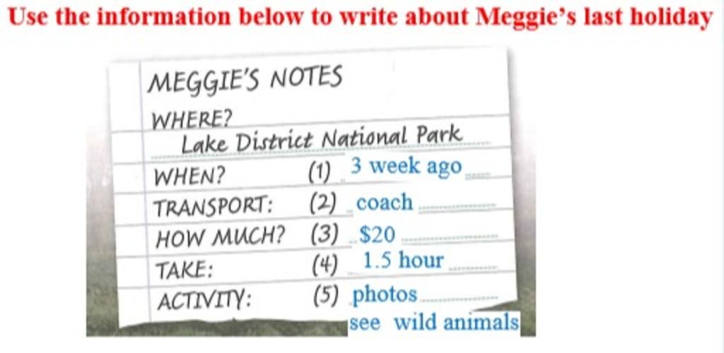 Use the information below to write about Meggie's last holiday MEGGIE'S ...