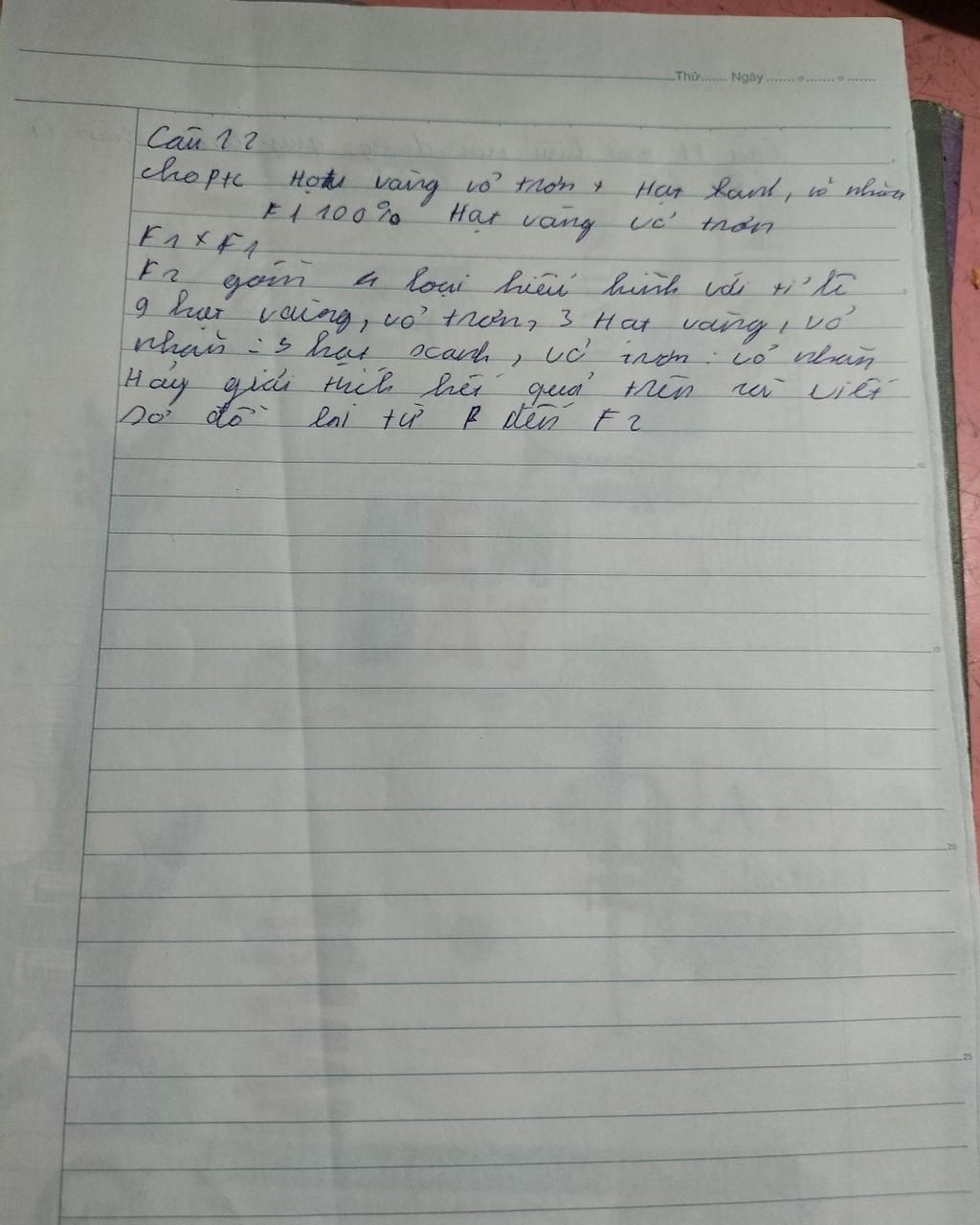 Thứ... Ngày Cau 12 chop Ptc Hotu vaing vo tron & Har hand, so what F1 ...