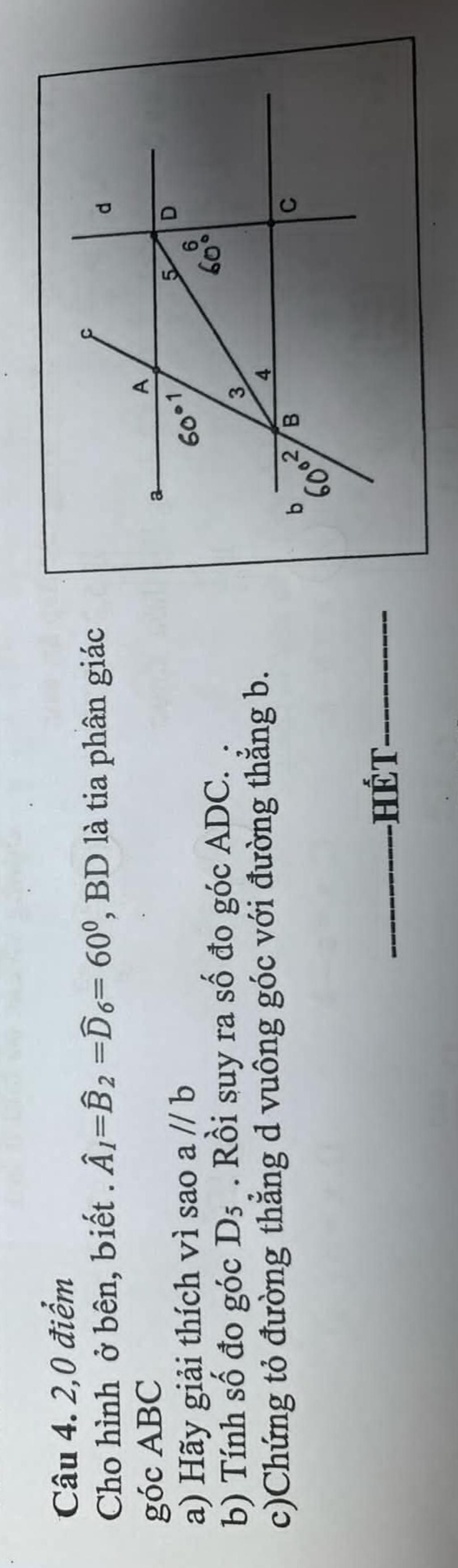 Câu 4. 2,0 điểm Cho hình ở bên, biết . Â=B2=Do= 60, BD là tia phân giác ...