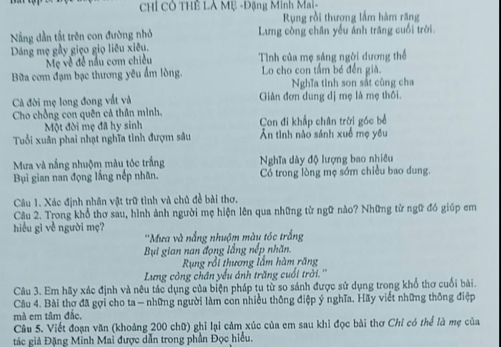 Đọc văn bản " Chỉ có thể là mẹ " của tác giả Đặng Minh Mai và trả lời các câu hỏi sauCHỈ CÓ THỂ ...