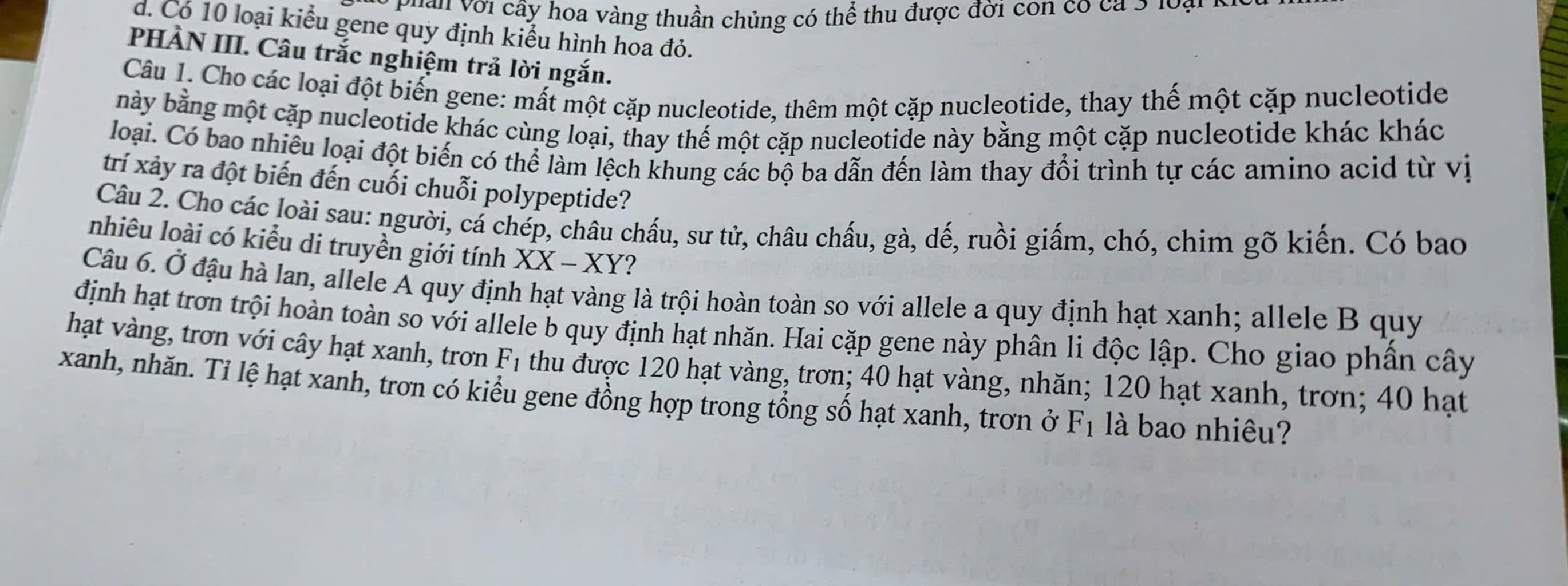 d. Có 10 loại kiểu gene quy định kiểu hình hoa đỏ. PHẦN III. Câu trắc ...