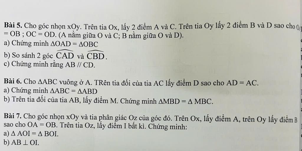 Bài 5. Cho góc nhọn xOy. Trên tia Ox, lấy 2 điểm A và C. Trên tia Oy lấy 2 điểm B và D sao = OB ...