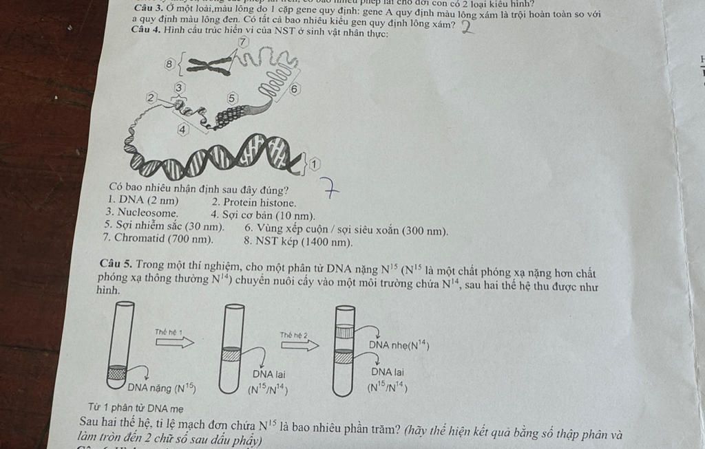 рпер đơi con có 2 loại kiểu hình? Câu 3. Ở một loài,màu lông do 1 cặp ...