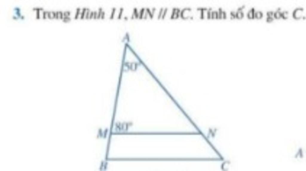 3. Trong Hình 11, MN // BC. Tính số đo góc C. M 80 A