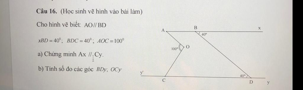Câu 16. (Học sinh vẽ hình vào bài làm) Cho hình vẽ biết: AO/BD xBD=40 ...