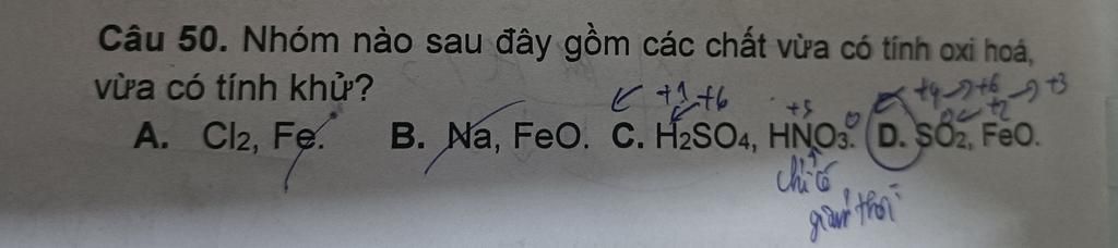 tại sao đáp án sửa là câu D mà không phải câu C vậy giải thích giúp ...