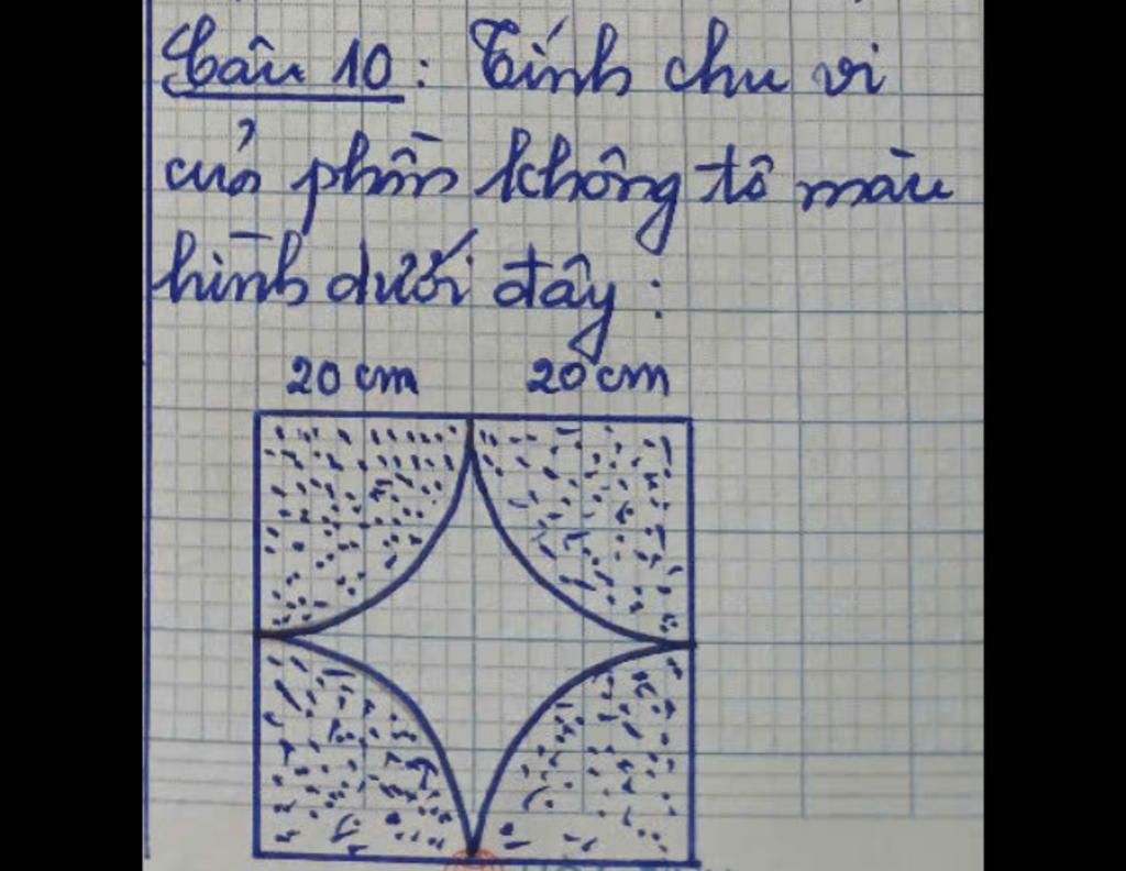 Câu 10: Tính chu vi của phần không tô màu think droi day 20 cm 20cm