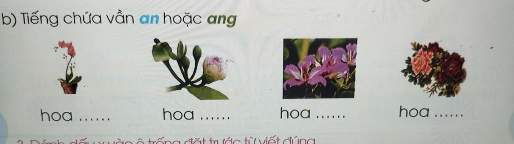 b) Tiếng chứa vần an hoặc ang hoa ...... hoa ...... hoa hoa ...... ra đặt ta lớn từ viết đúng