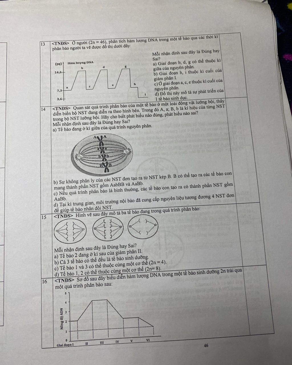 14 13 Ở người (2n = 46), phân tích hàm lượng DNA trong một tế bào qua ...