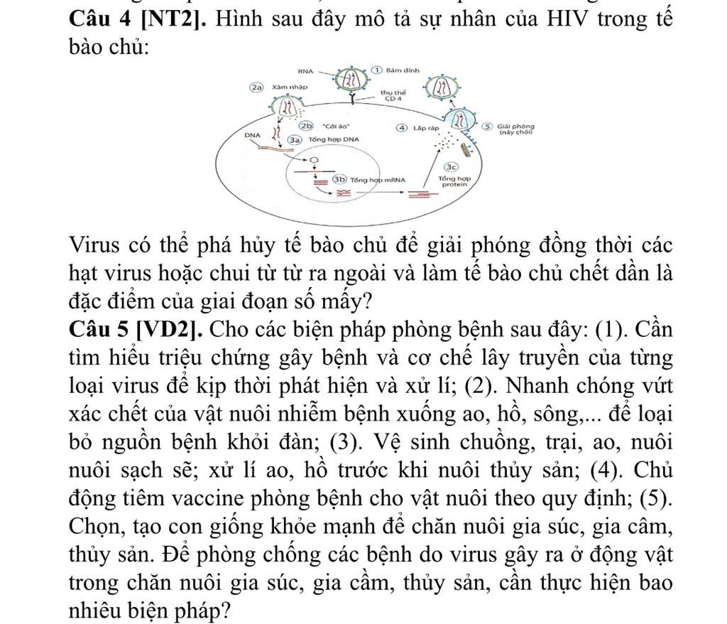 Câu 4 [NT2]. Hình sau đây mô tả sự nhân của HIV trong té bào chủ: RNA ...