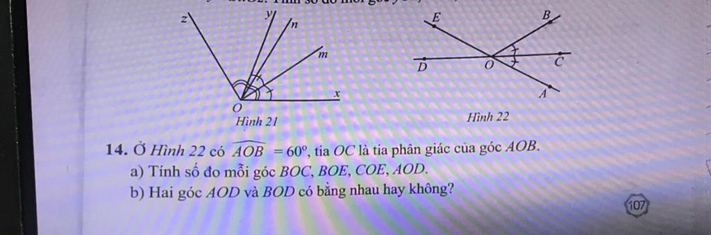 O Hình 21 m D E Hình 22 14. Ở Hình 22 có AOB =60°, tia OC là tia phân ...