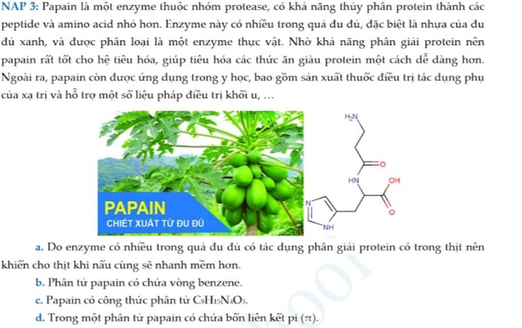 NAP 3: Papain là một enzyme thuộc nhóm protease, có khả năng thủy phân protein thành các peptide ...