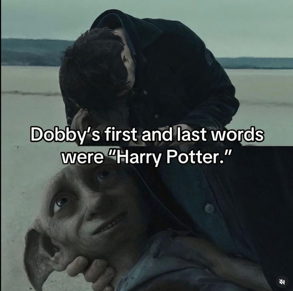 Dobby's first and last words were "Harry Potter." 乳