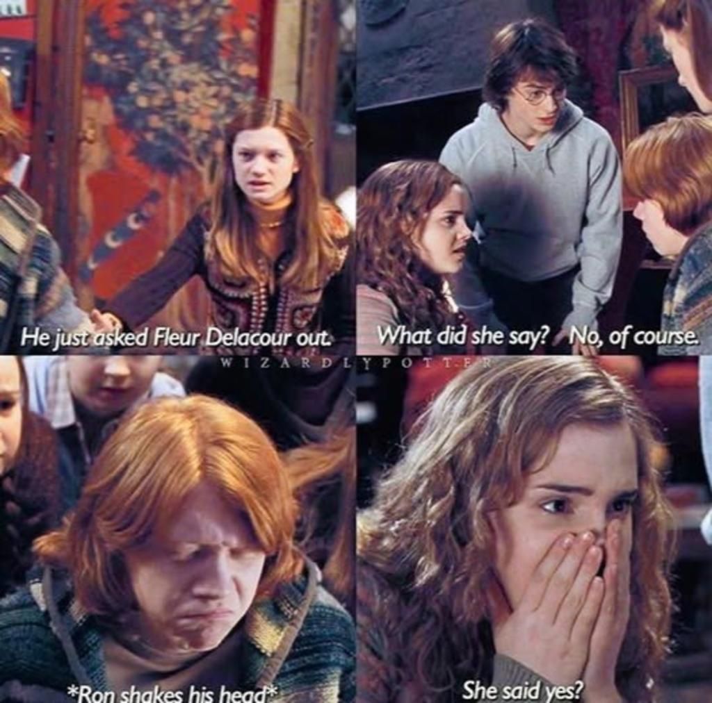 He just asked Fleur Delacour out. What did she say? No, of course ...