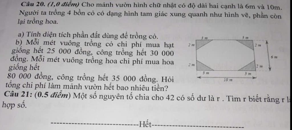 giúp tôi tooii cần gấp Làm đúng và nhanh tôi cho 5 saoCâu 20. (1,0 điểm ...