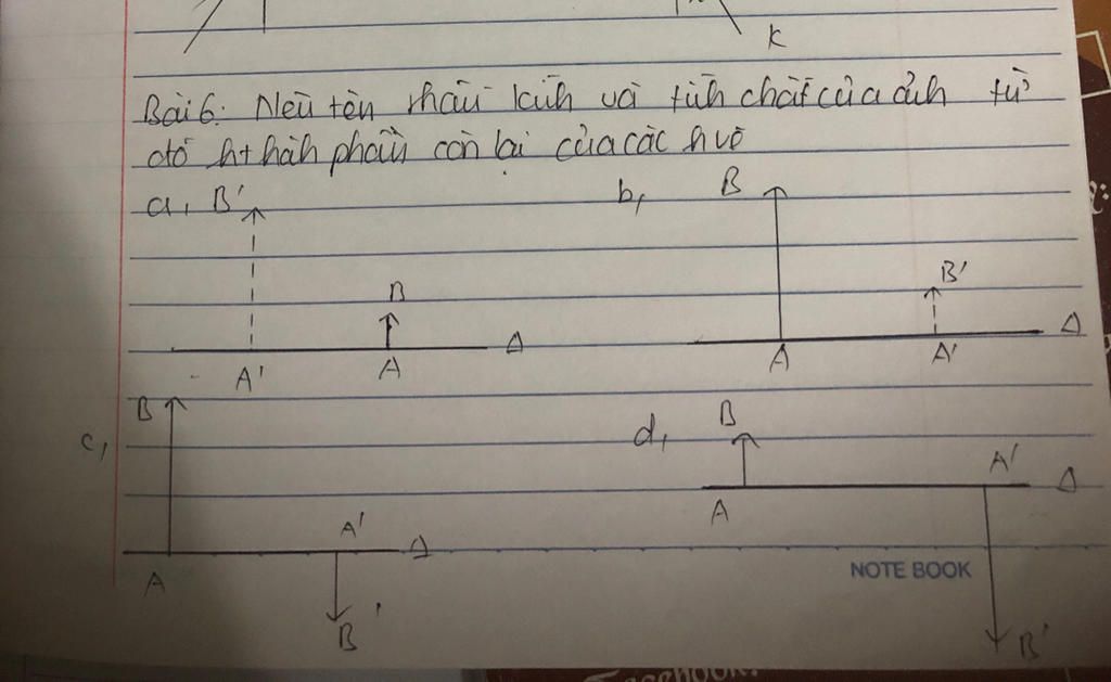 k Baib: Neu ten than lash va fich chat cua auch đó ht hành phần còn bị ...