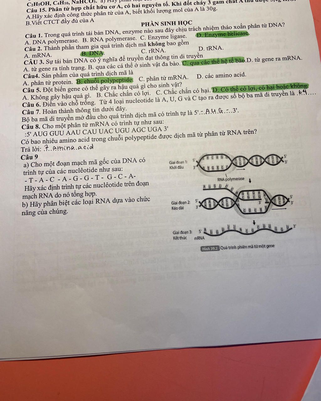 Làm giúp mình câu 9 với, mình cần gấp mai thi r C2H5OH, C4H10, Câu 15 ...